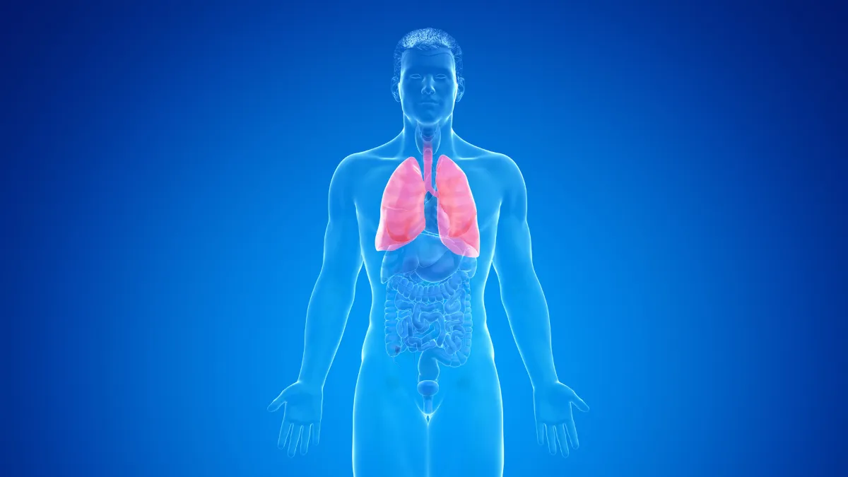 DPOC: Entenda A Doença Pulmonar Obstrutiva Crônica